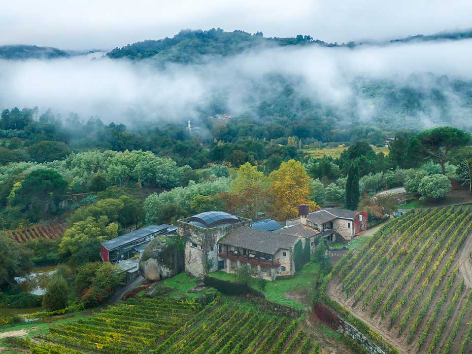 Val do Avia - Bodega Viña Meín - Emilio Rojo